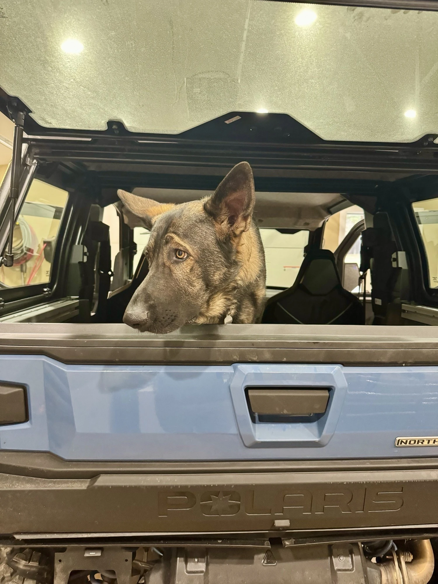 New 2 door ADV Northstar owner in MT | Polaris XPEDITION Forum